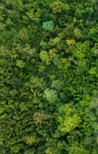 Divcon - Built for Mission Critical